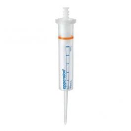 Pipette online